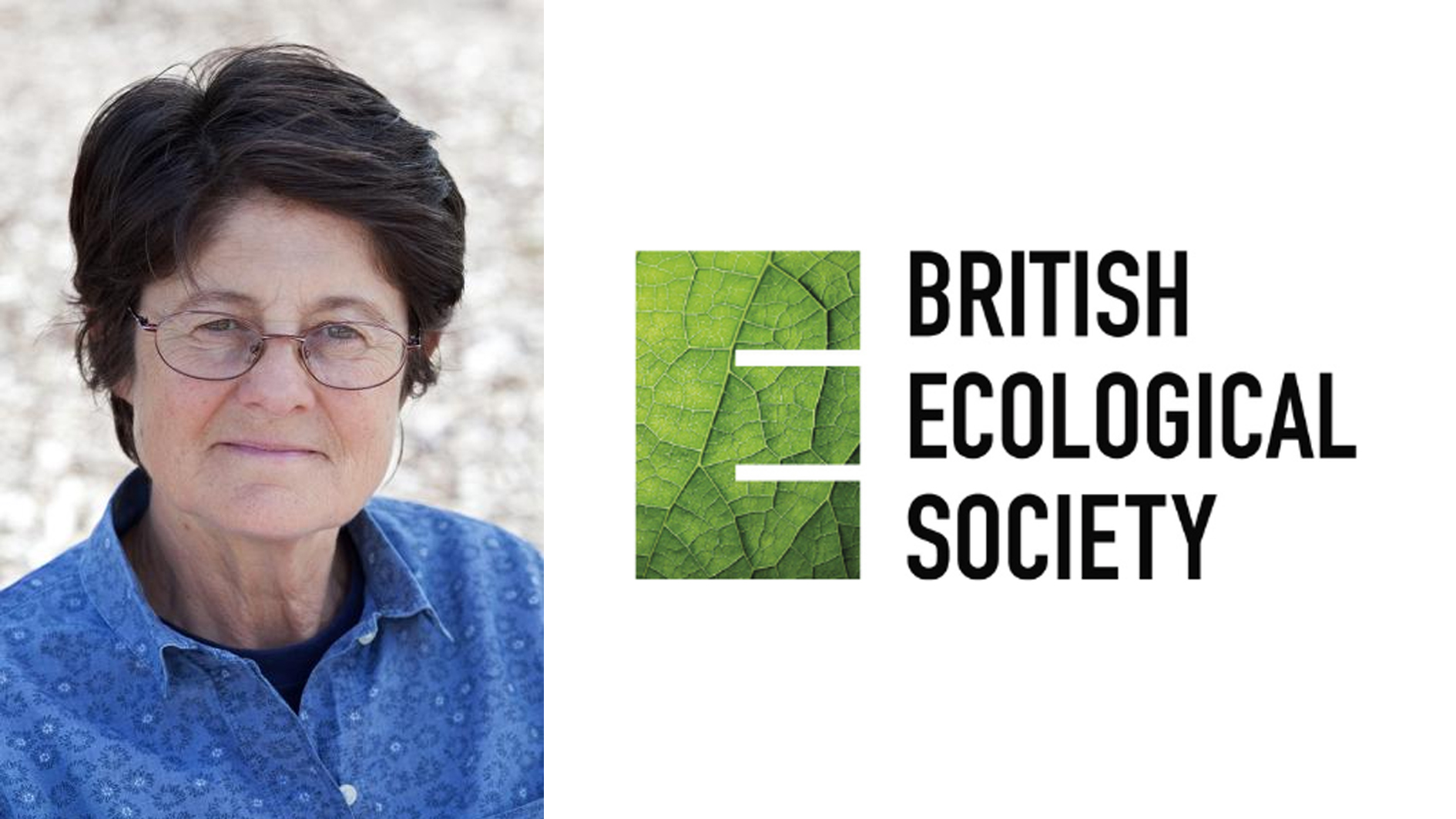 Professor Josephine Pemberton receives the British Ecological Society’s ...