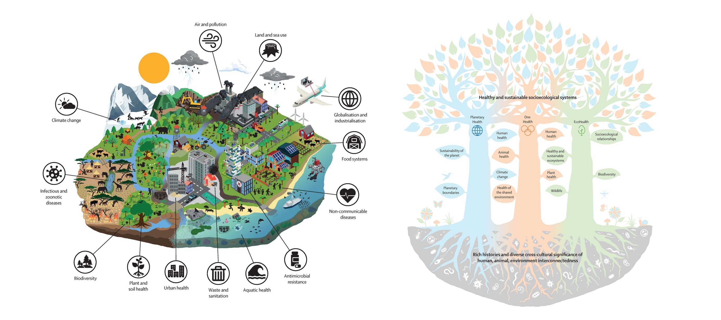 Lancet One Health Commission urges global shift for sustainable health ...