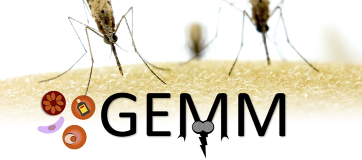 Glasgow-Edinburgh Malaria Mosquito Meeting 2019 | Edinburgh Infectious ...