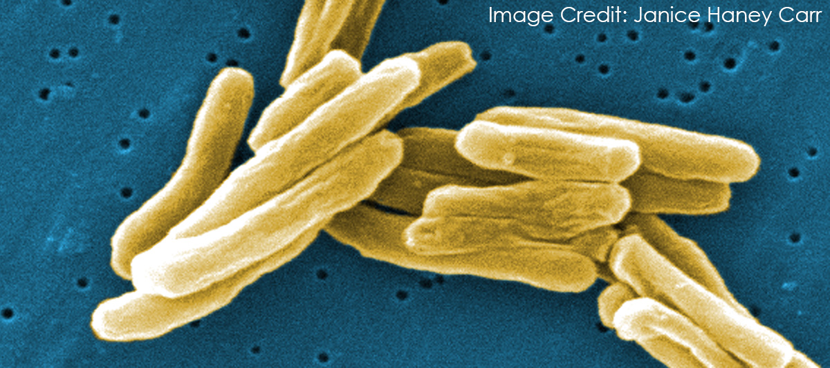 Quantitative methodologies in the control of infections - Helen Stagg ...