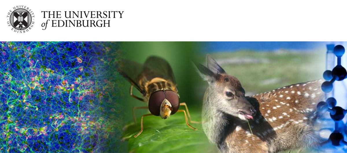 Major new appointments in infection research for the School of ...